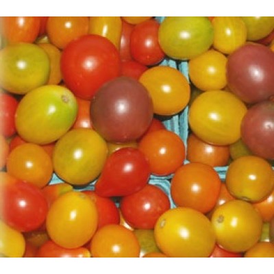 Tomaten cherry Mix - Kerstomaat Cherrytomaat Coctailtomaat in 4 ...