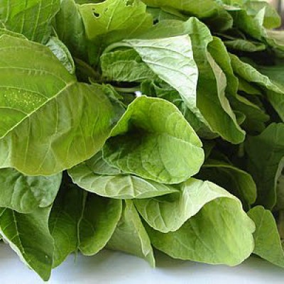 Klaroen of Bayam - exotische groente voor uw groentetuin