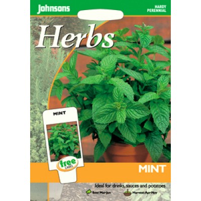 Munt - Groene Munt - Kruizemunt voor muntthee zaaien