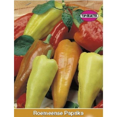 Paprika Romanian Amy- spitse oranje-rode paprika - zaden bestellen