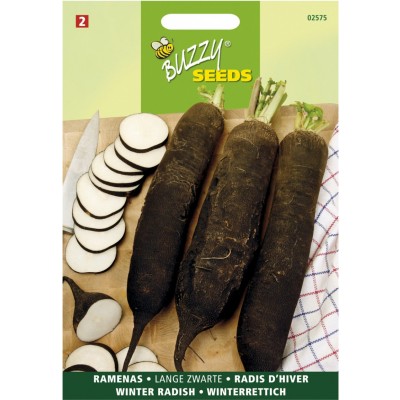Rammenas Lange Zwarte Winter - Ramenas, Rettich, Daikon, winterradijs ...