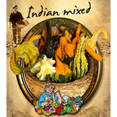Kalebas Indian Mixed - zaden kopen