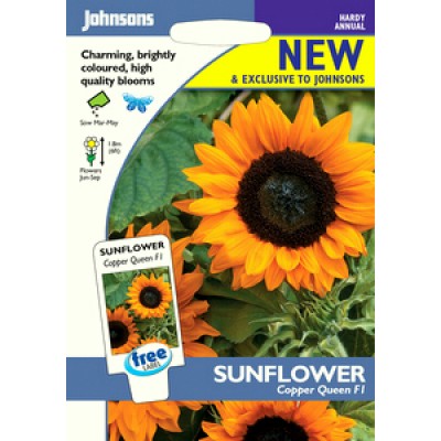 Helianthus annuus Copper Queen - Oranje-gele Zonnebloem - zaden kopen