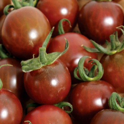 Tomaten Black cherry - donkere cherrytomaat - zaden kopen